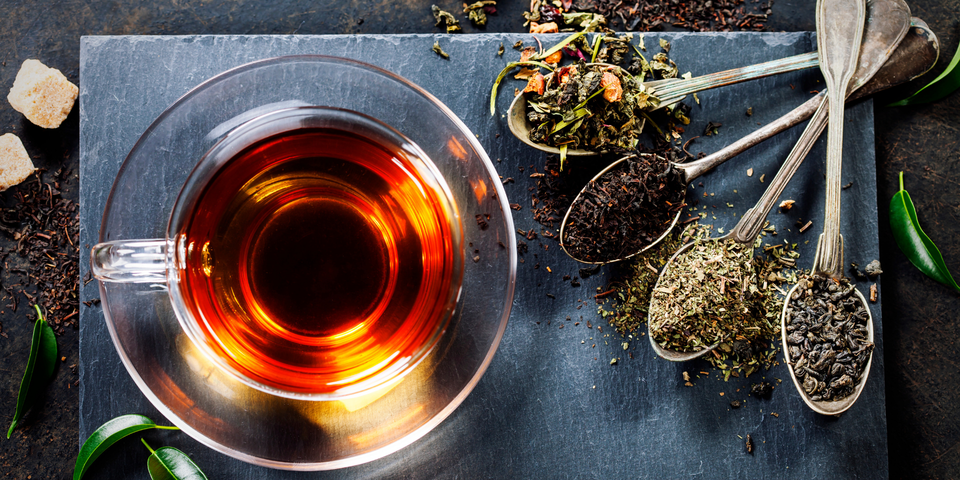 Understanding the Different Types of Teas – Honestea & Co.